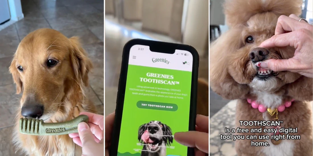 Protect Your Dogs Smile and Teeth with GREENIES Dental Treats | SheSpeaks